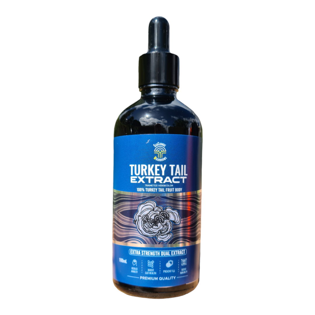Turkey Tail Mushroom Dual Extract 100ml - Immune Support - Gut Health ...